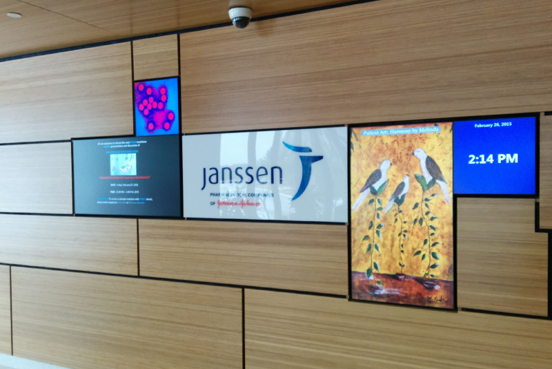 Zebrix case study Janssen